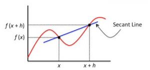 How important Somatosensory Cortex is?